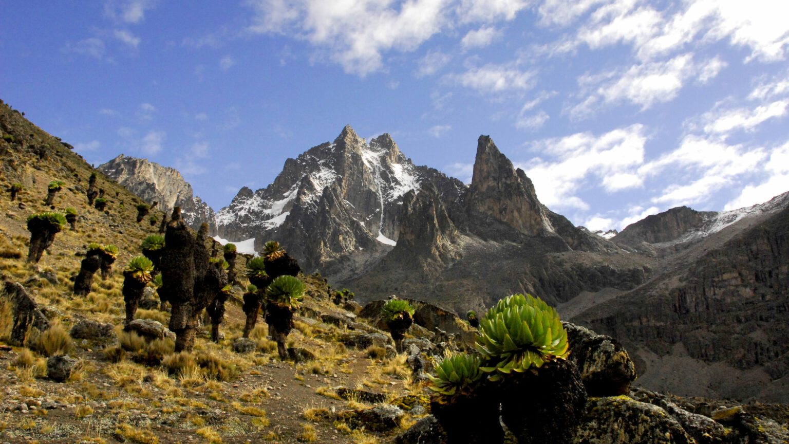 Flint Whitlock's 'Patton and the Battle for Sicily' - Warfare History ...
