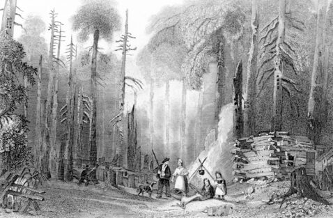 Northwest Indian War: Marching Against Little Turtle - Warfare History ...