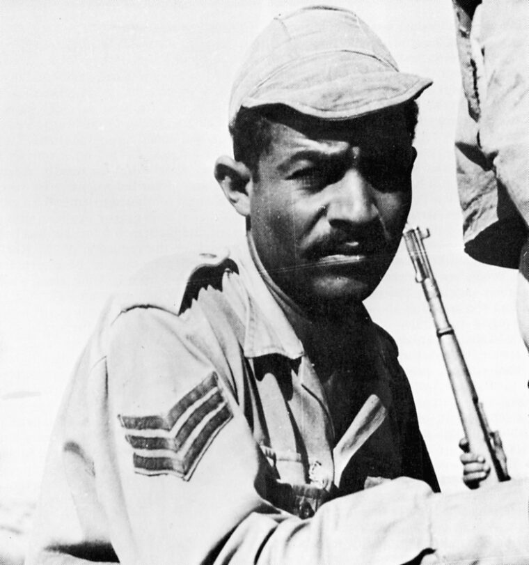 The Suez Crisis: Misadventure in the Sinai