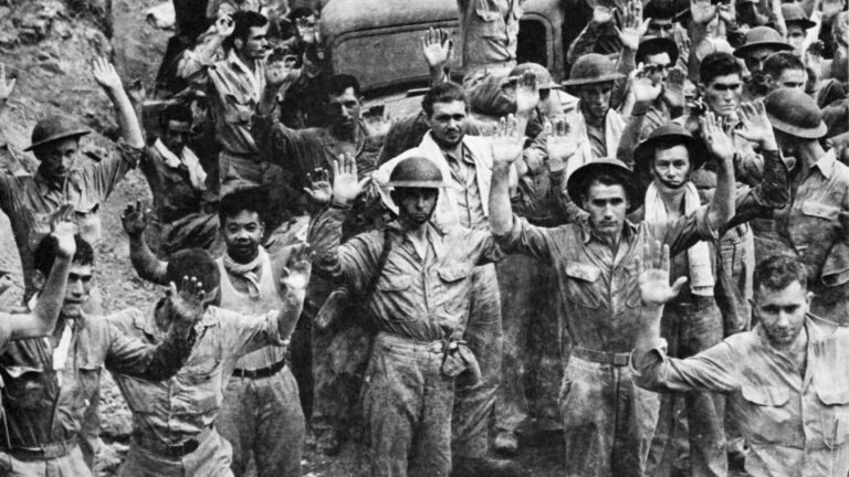 Army Mules: The Beast of Burden in War - Warfare History Network