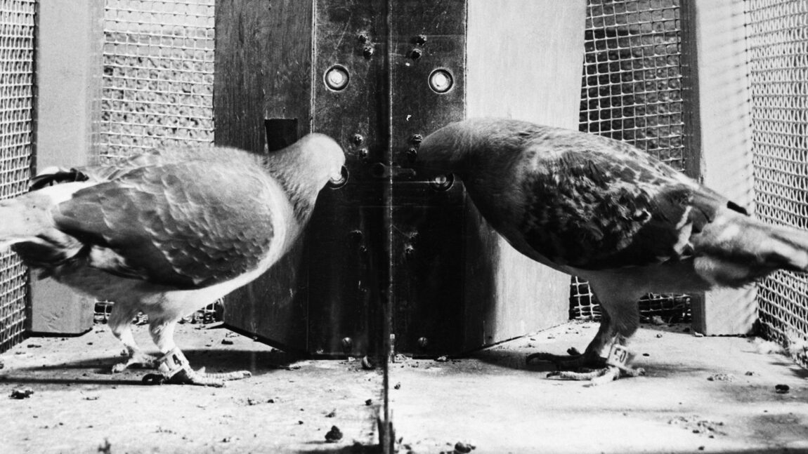 Medal of Honor Recipient: Henry "Red" Erwin - Warfare History Network