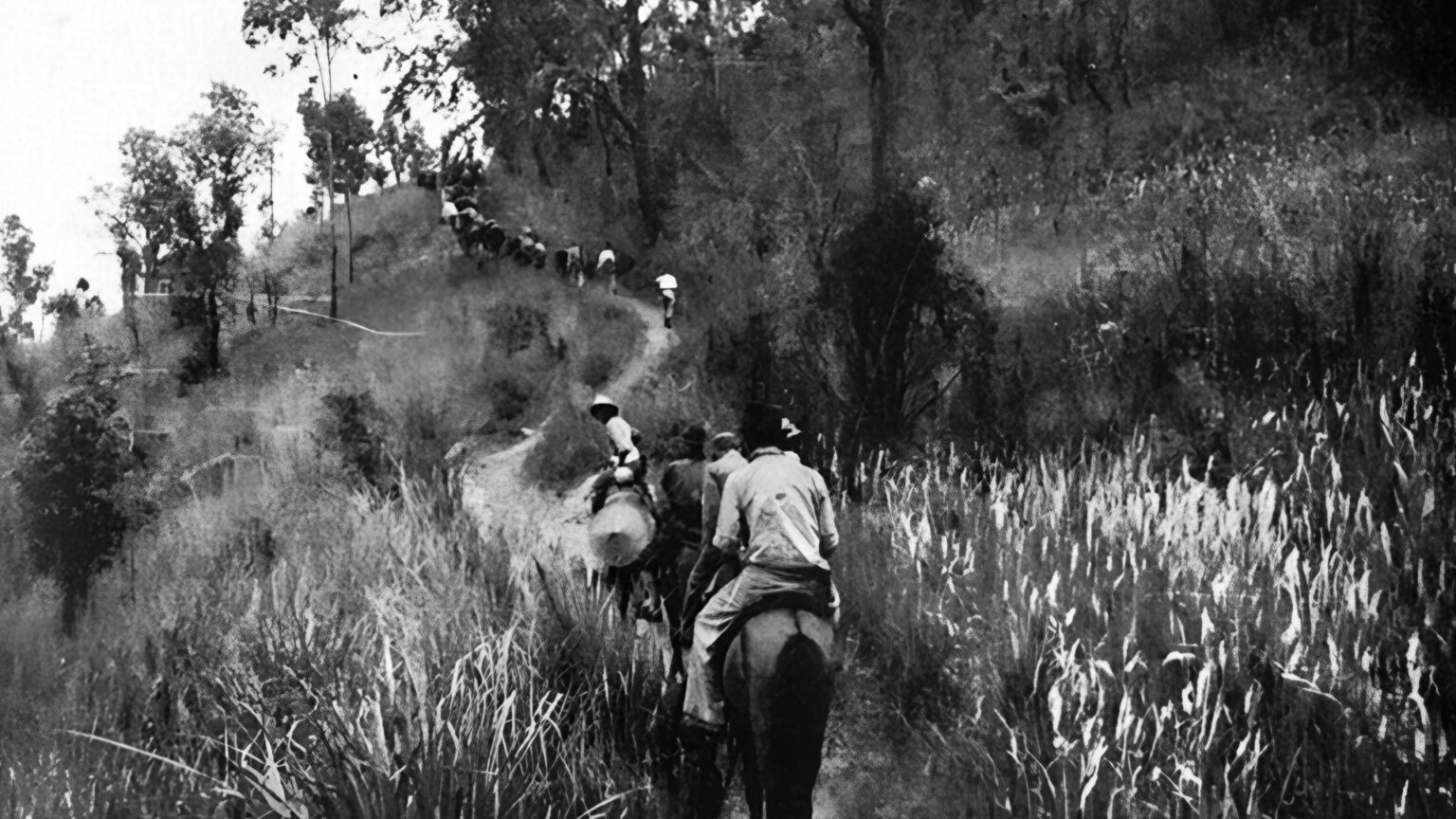 Hero to the End: Airman William "Ed" Dyess on the Philippines - Warfare ...