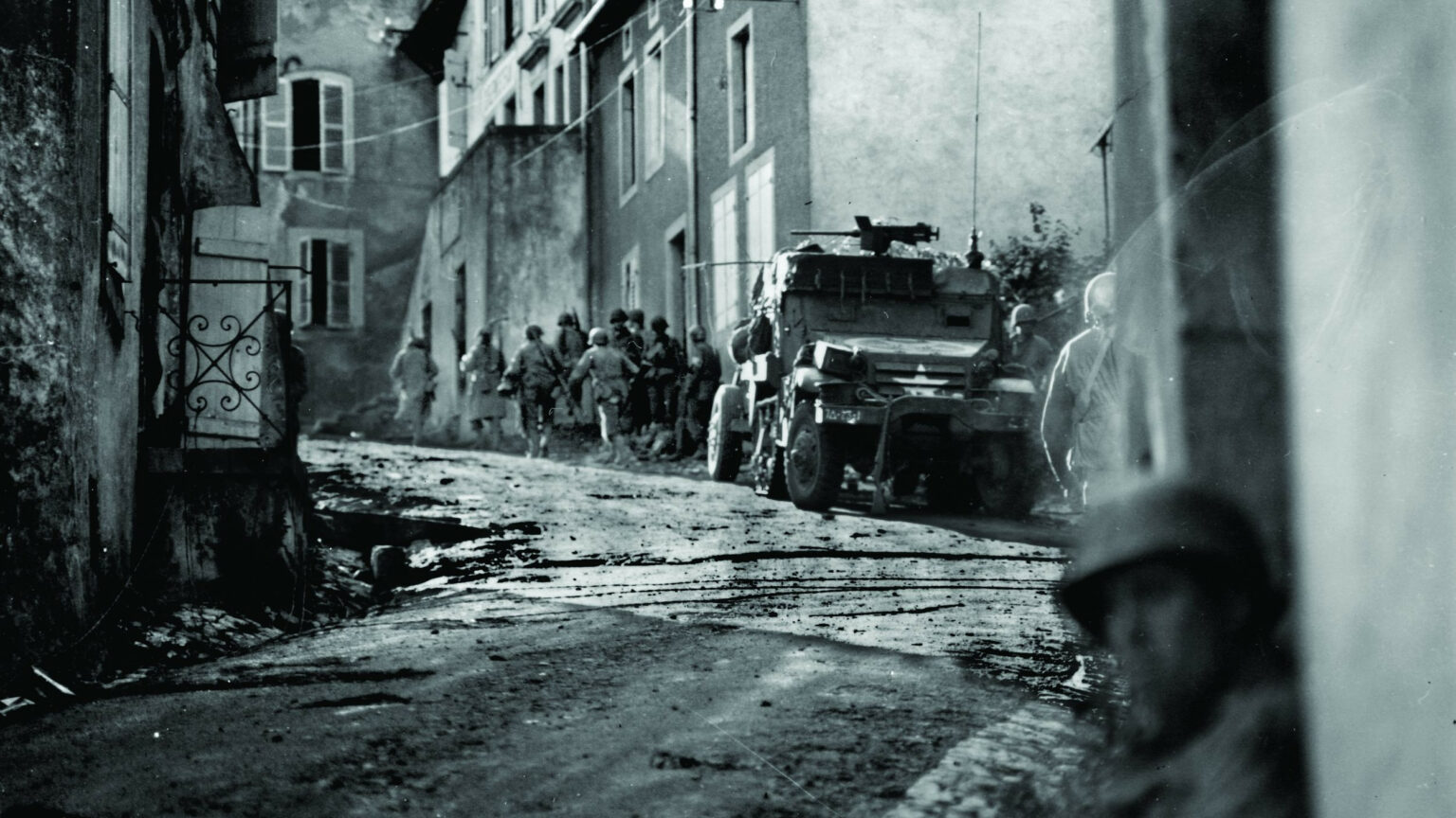 Army Mules: The Beast of Burden in War - Warfare History Network