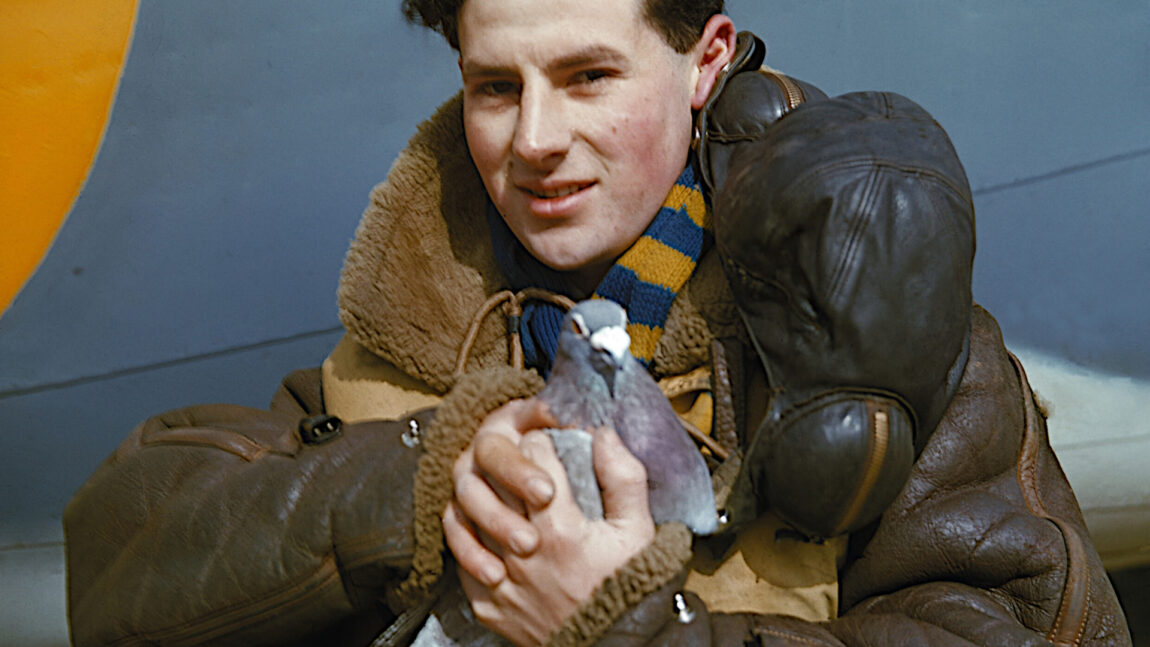 Clash at Surigao Strait: The Last Battle Line - Warfare History Network