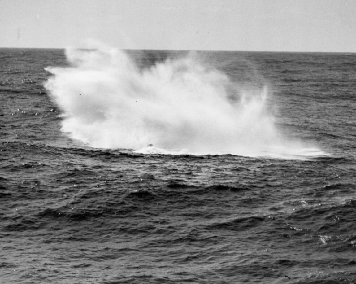 Amazing Photos of the Crash and Rescue of a Torpedo Bomber Off Leyte ...