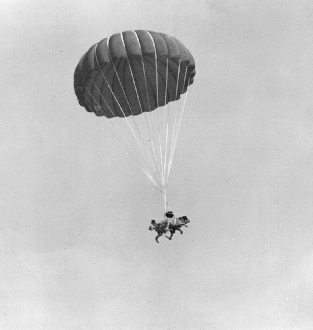 Raining Dogs! U.S. Army Parachute Animals in World War II - Warfare ...