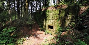 The Battle of Hürtgen Forest: A Tactical Nightmare for Allied Forces