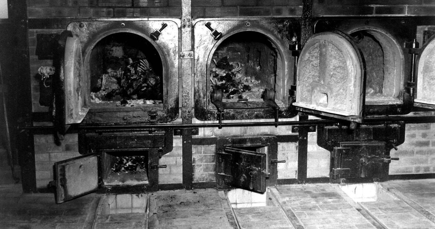 Adolf Hitler and the Euthanasia Connection - Warfare History Network