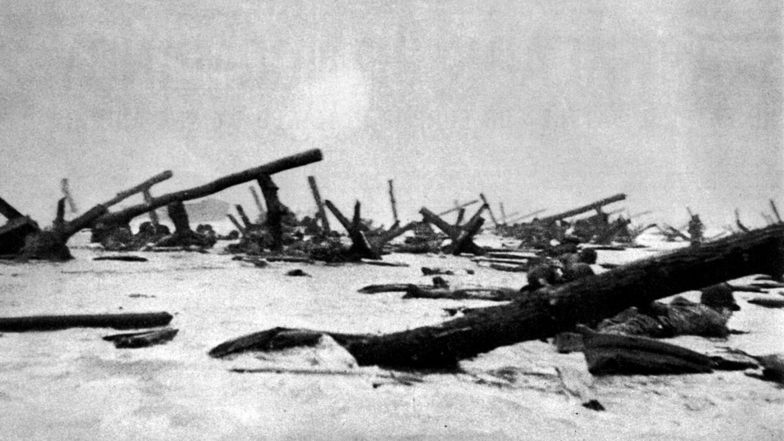 The 93rd Infantry Division: The African-American Soldiers in the Pacific