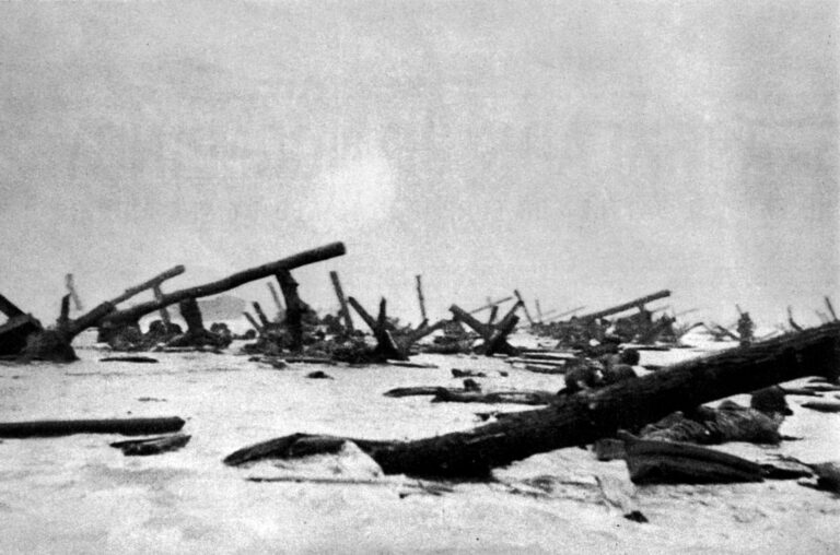 Rethinking D-Day - Warfare History Network