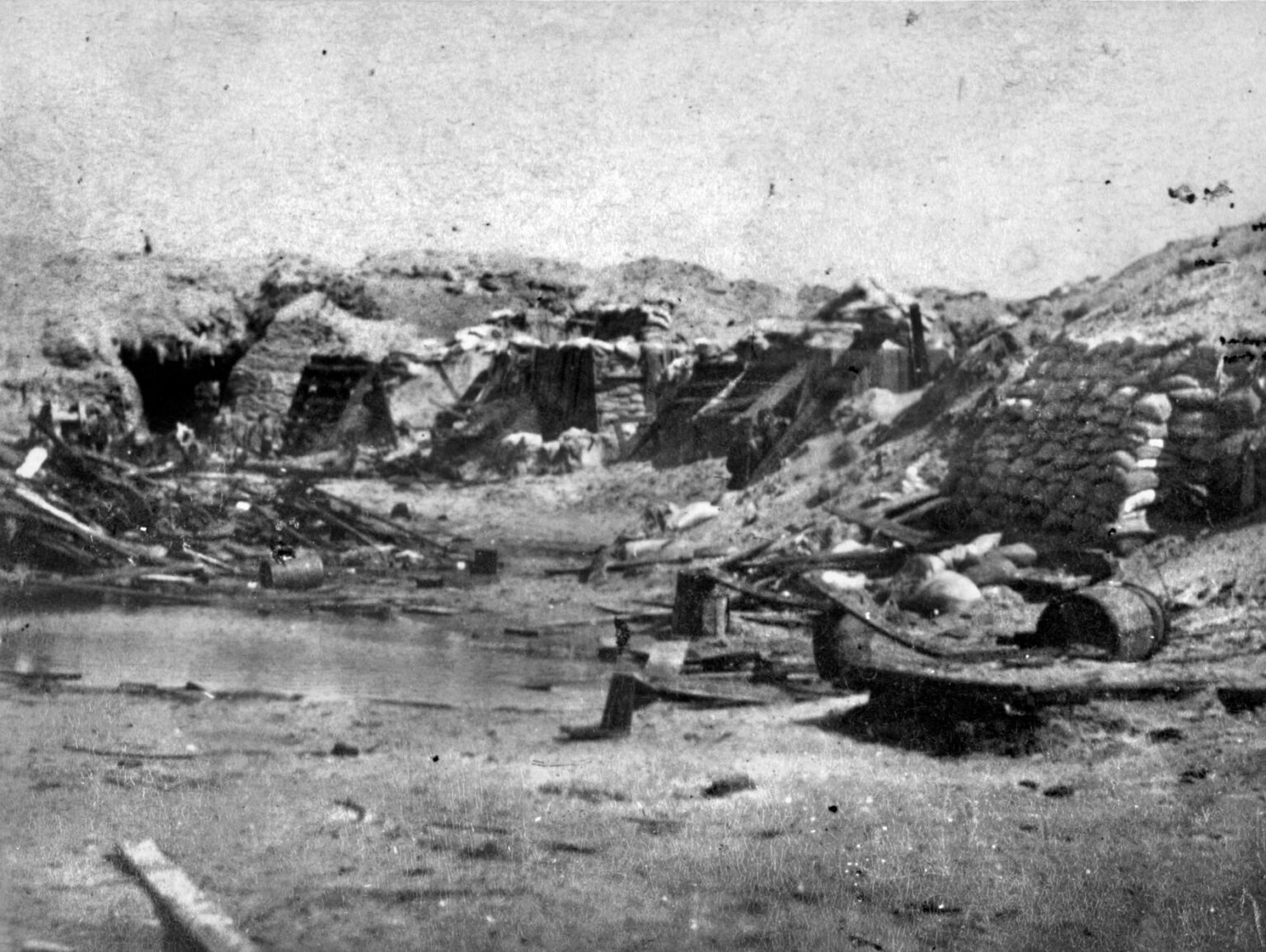 One Gallant Rush: Black Soldiers at Fort Wagner - Warfare History Network