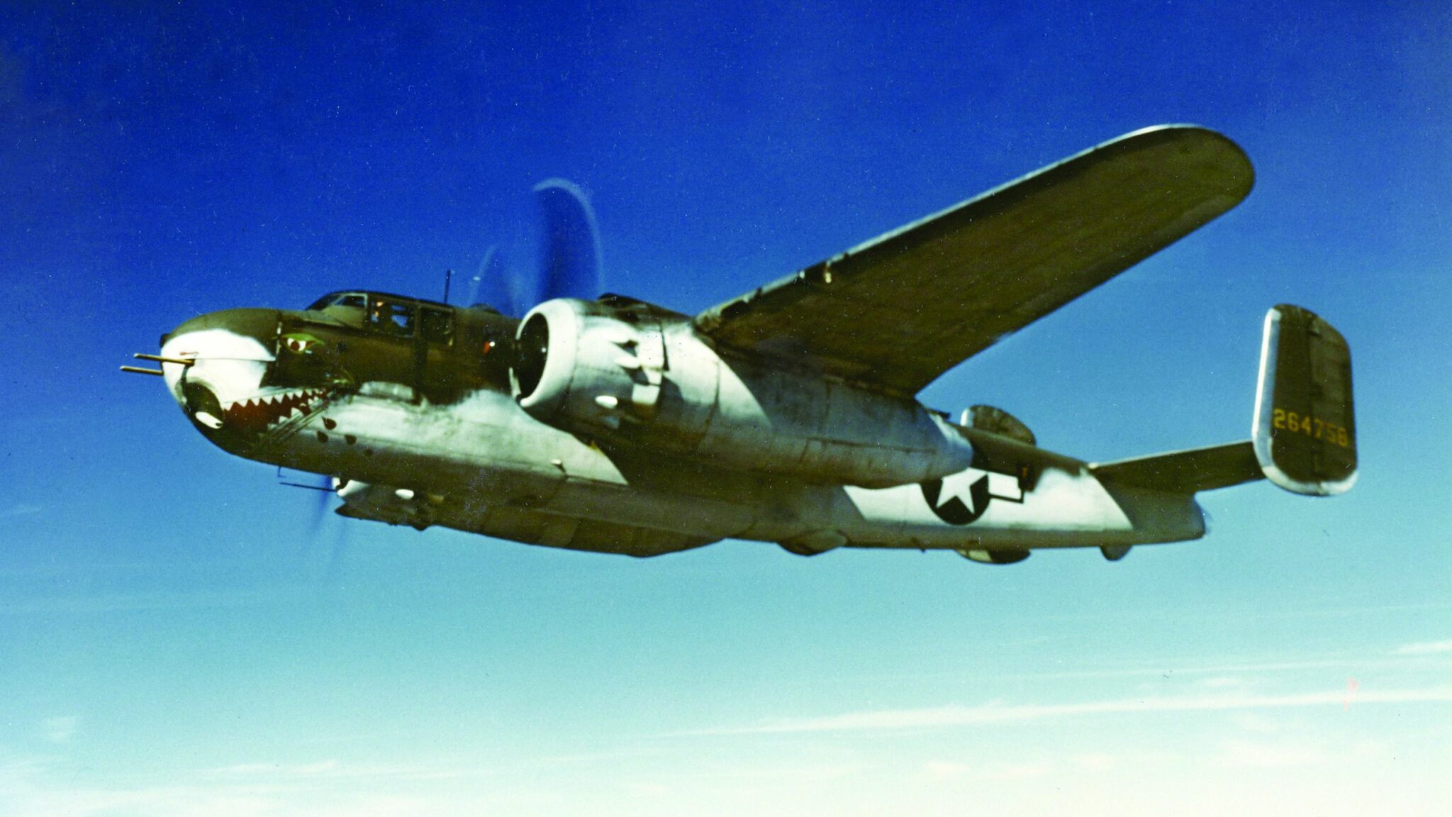 Army Mules: The Beast of Burden in War - Warfare History Network