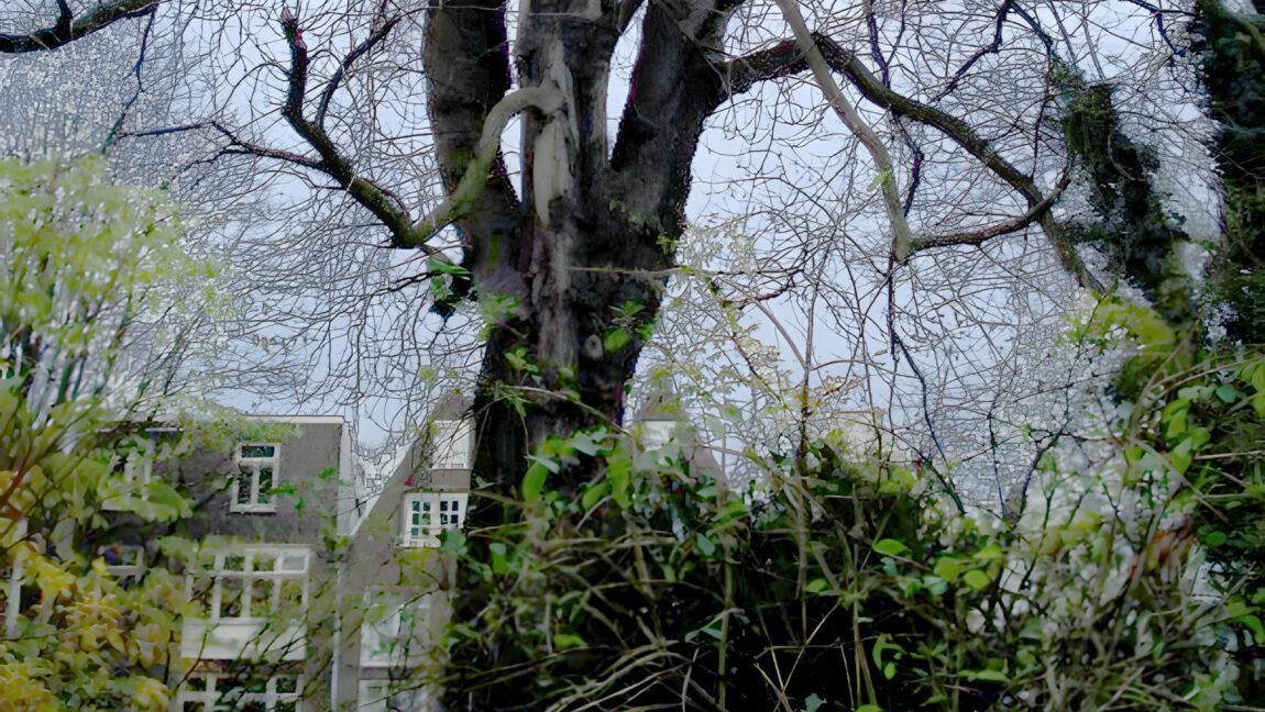 Draper Kauffman's Underwater Demolition Team - Warfare History Network