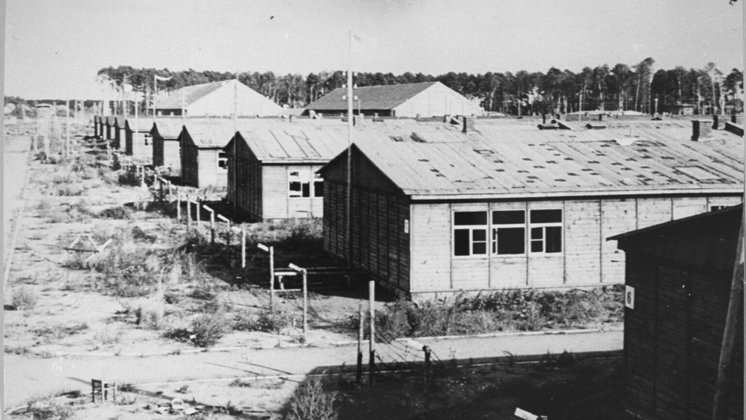 Destruction Of The Colmar Pocket - Warfare History Network