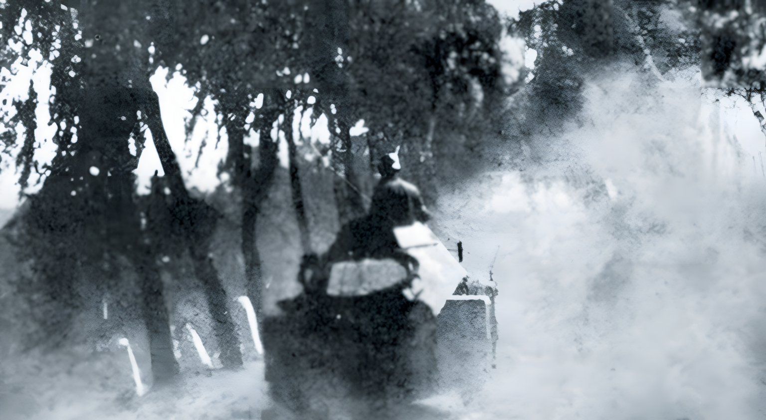 The Japanese Army's "Rape of Nanking" - Warfare History Network