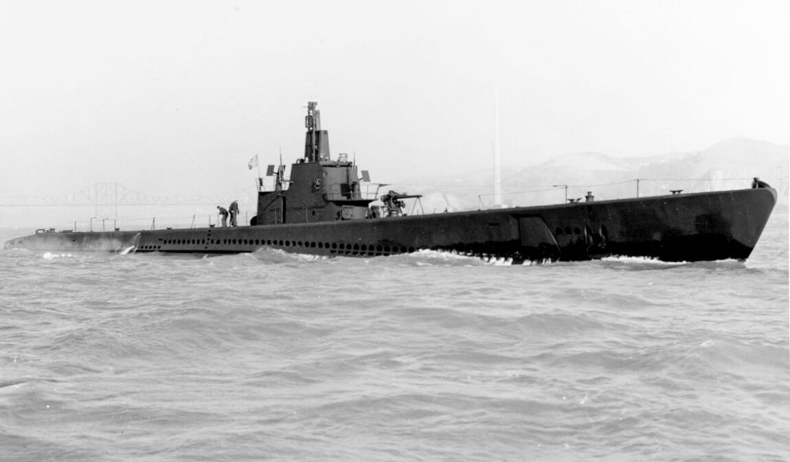 David Bushnell’s Turtle: The World's First Submarine - Warfare History ...