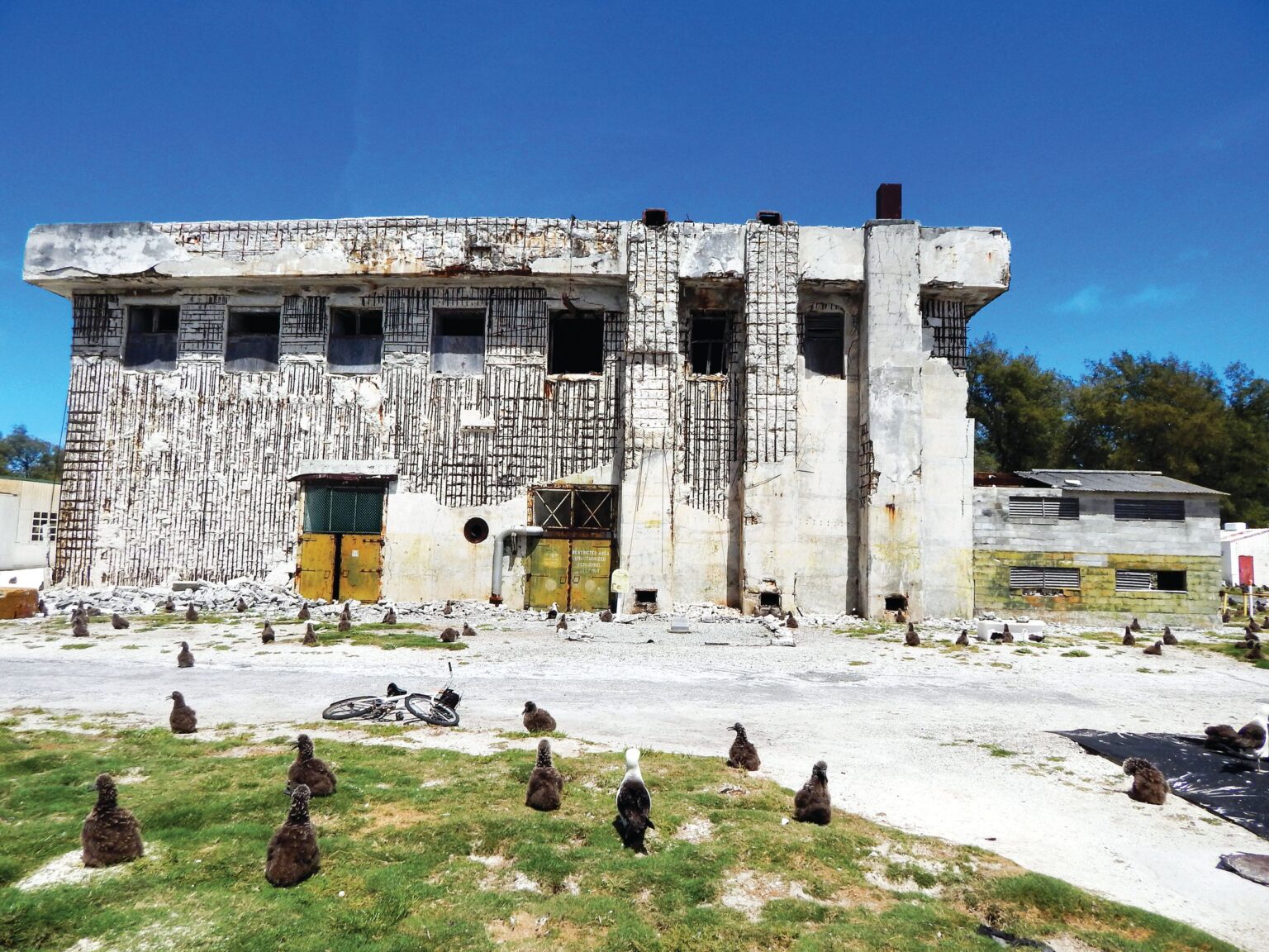 Q-Ships in World War II - Warfare History Network