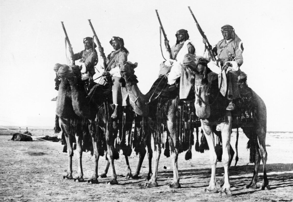 Operation Cartwheel: Seizing the Solomons and Beyond - Warfare History ...