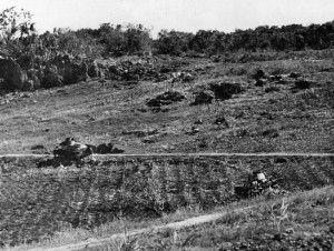 Duel to the Death on Saipan - Warfare History Network