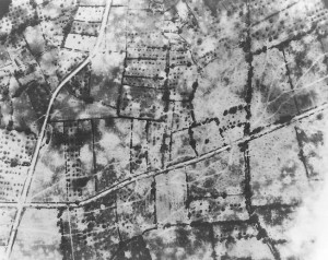 Operation Cobra: The High-Risk Follow-Up to the D-Day Invasion